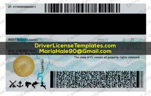 Florida Drivers License Template PSD 2026