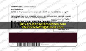 Florida Drivers License Template PSD 2025