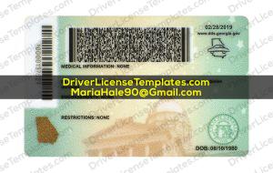 Georgia Drivers License Template PSD 2025