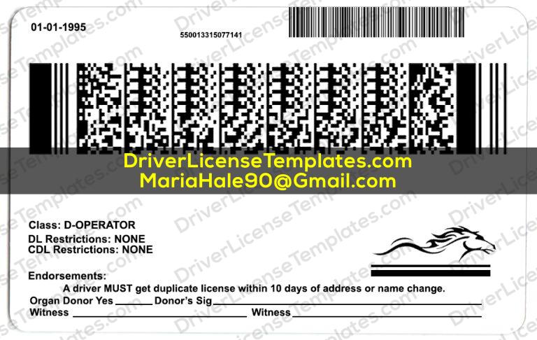 Kentucky Drivers License Template PSD 2026