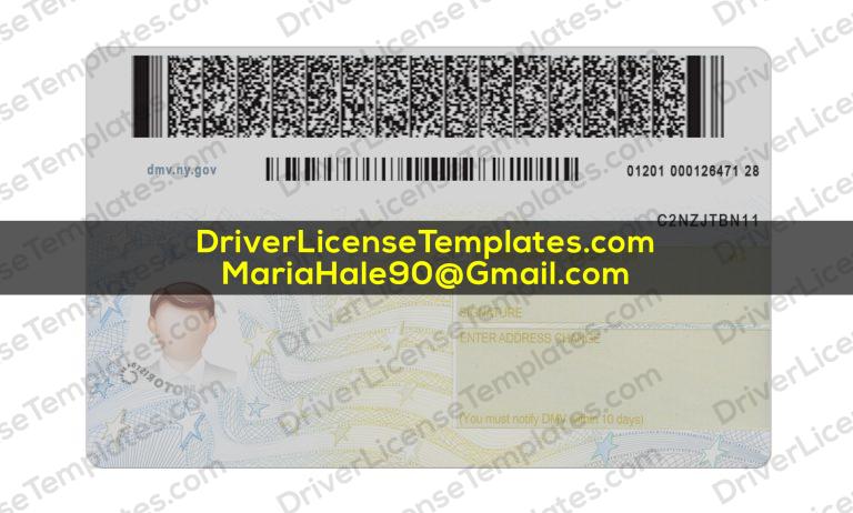 New York Drivers License Template PSD 2025