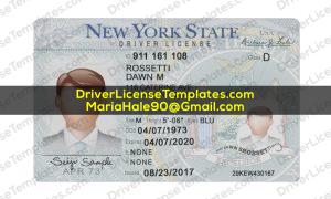 New York Drivers License Template PSD 2025