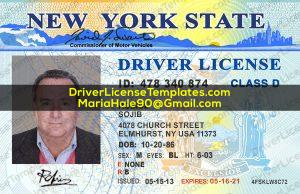 New York Drivers License Template PSD 2026