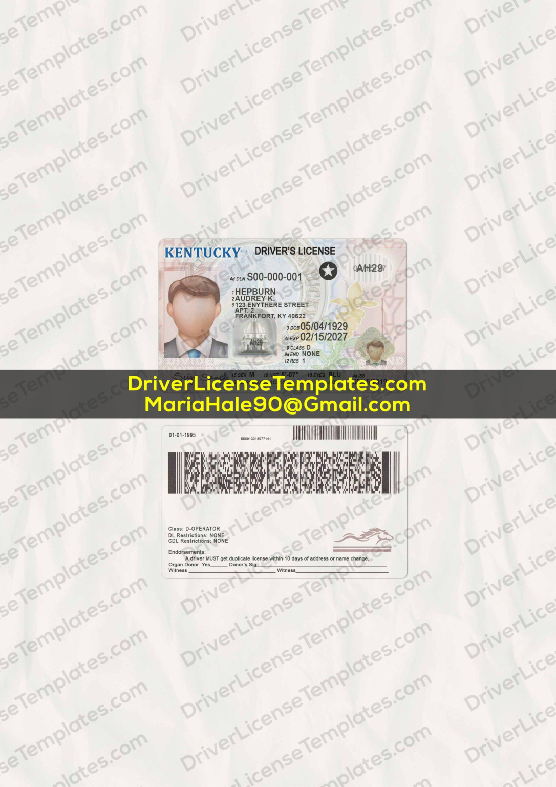 Kentucky Drivers License Template PSD 2025
