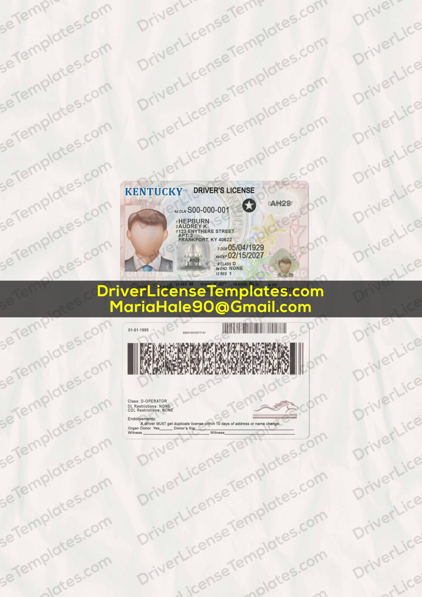 Kentucky Drivers License Template PSD 2025