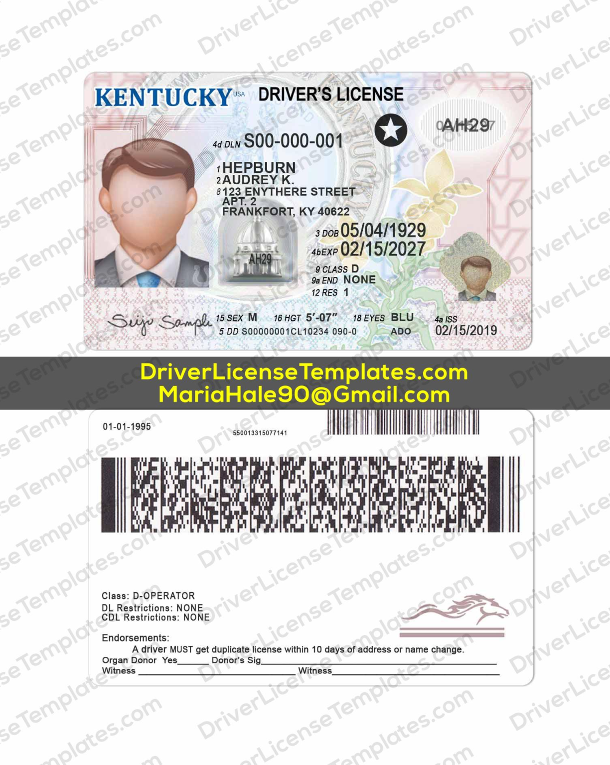 Kentucky Drivers License Template PSD 2025
