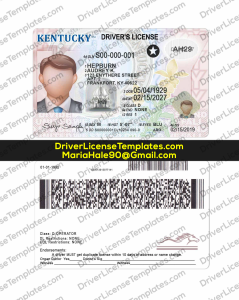 Kentucky Drivers License Template PSD 2026